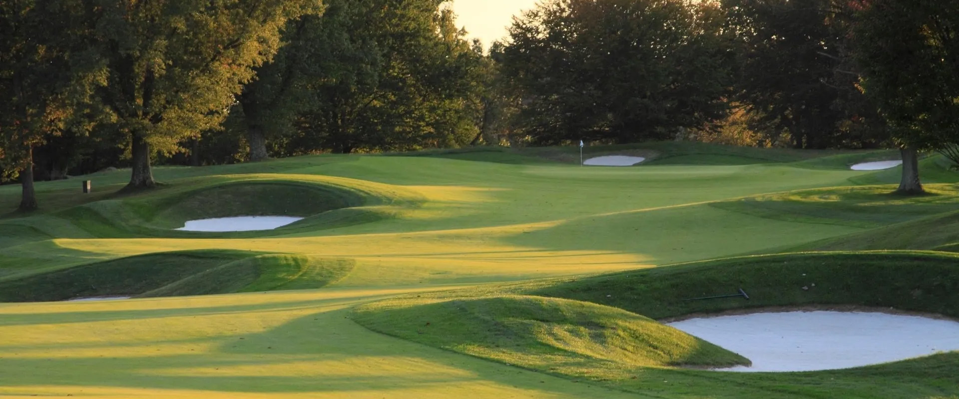 International PGA - A Worldwide Professional Golf Organization